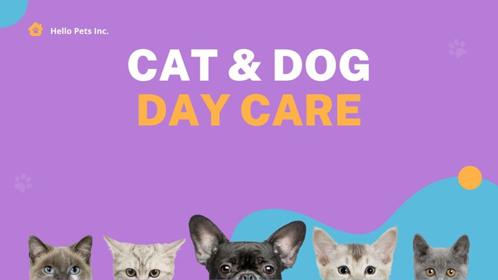 Why Dog Daycare is Good for Busy Pet Owners! - Hello Pets Inc.