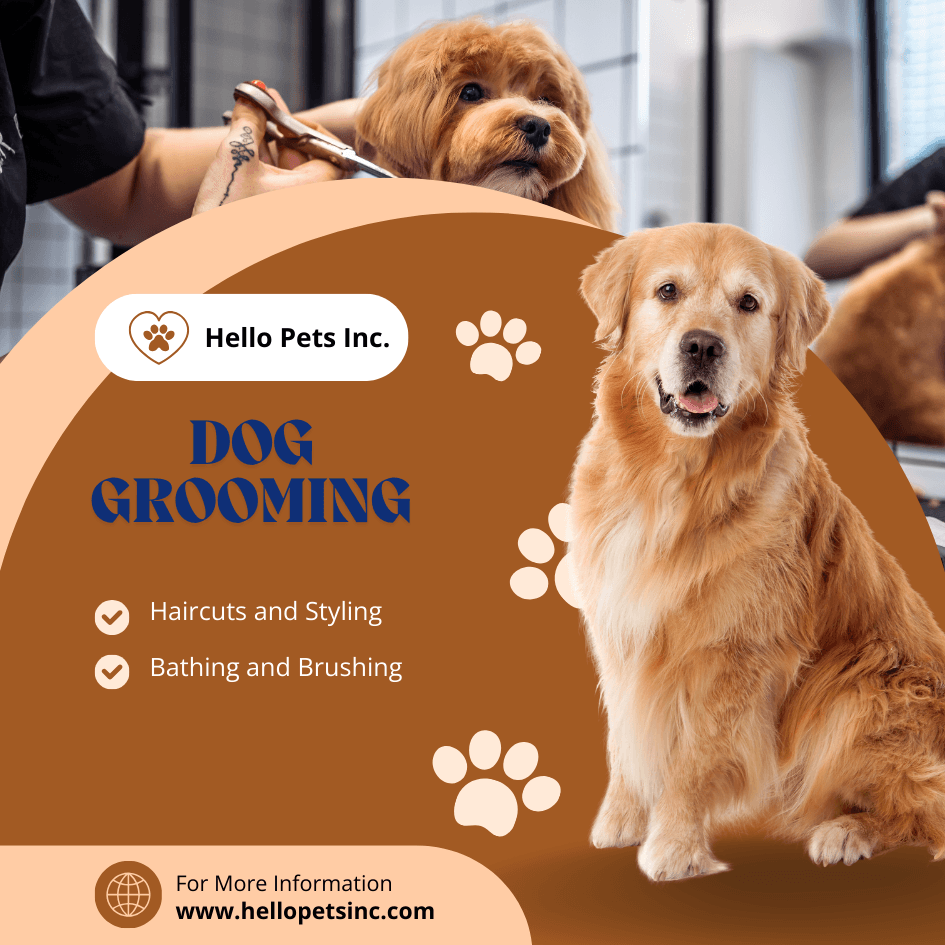 The Importance of Regular Dog Grooming - Hello Pets Inc.